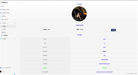 智能 Bi 数据分析平台智能星辰bi分析平台 Csdn博客