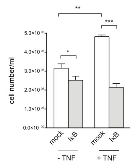 NF κB activation is responsible for TNF induced NSC proliferation Note