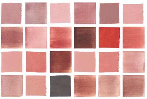 The Mushroom Color Atlas An Interactive Web Site Lets You Explore The