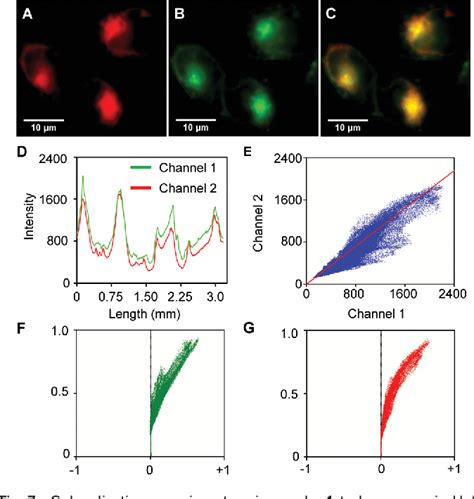 Figure 1 From Lysosome Targeting Fluorescence Probe For Imaging Intracellular Thiols Semantic