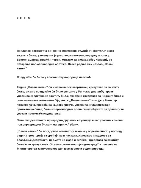 Бизнис план Милош Алексић Pdf