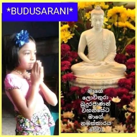 ඇයි බන් දකුනෙ උන්ට පට්ට අඩු කුලේ Vibe එකක් තියෙන්නෙ Elakiri