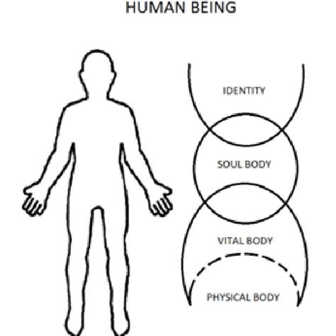 Model Of The Human Being According To Rudolf Steiner Download