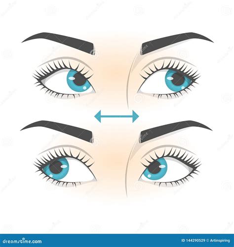 Ejercicio Del Ojo Movimiento Para La Relajaci N De Los Ojos Globo Del