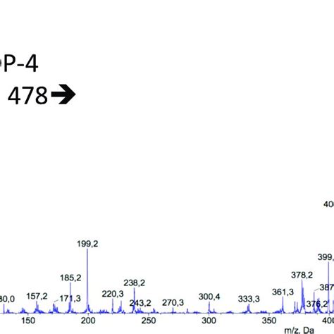 Proposed Fragmentation Patterns Of The Protonated Ions Of Apixaban