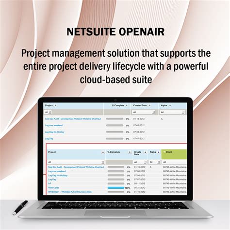 NetSuite SuiteProjects Project Management SuiteUserGroup Achieving Operational Excellence
