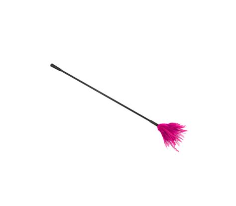 Crop With Feather Tickler Love In Leather