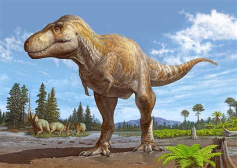 New Origin Story For Tyrannosaurs Rex Suggested By Fossil The New