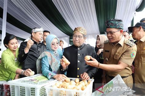 Bupati Ekspor Kentang Jadi Momen Kebangkitan Petani Di Bandung