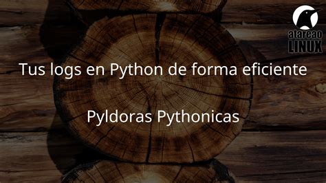 Tus Logs En Python De Forma Eficiente Atareao Con Linux