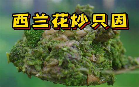 一口西兰花炒只因印度五小龙获得消防水炮体验卡 舌尖上的阿仨 舌尖上的阿仨 哔哩哔哩视频