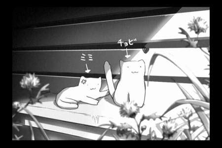 White Rabbit 신카이 마코토