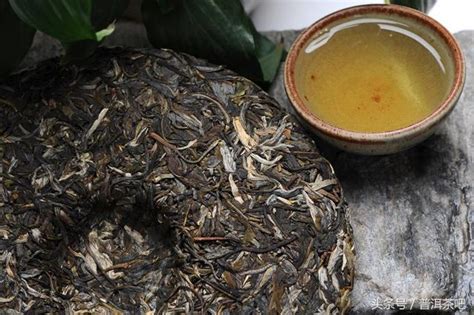千家寨普洱茶 每日頭條