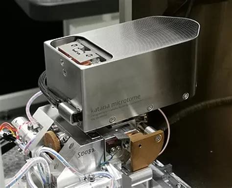 Serial Block Face Imaging Sbfi Image Science