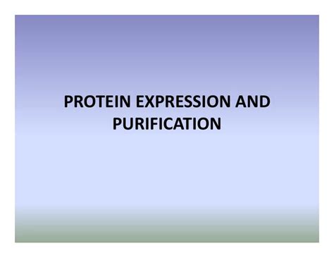 Ppt Protein Expression And Purification Protein Expression And Powerpoint Presentation 684675