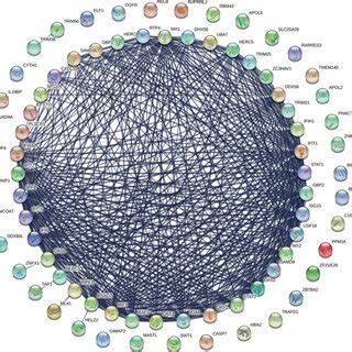 Dataset Selection And DEG Enrichment Analysis A The Volcano Map Of