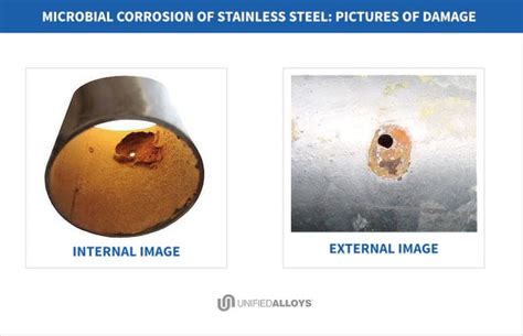 How Tiny Bacteria Can Create Big Problems Microbial Corrosion