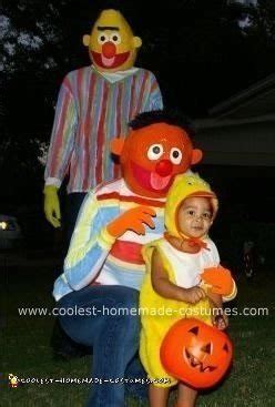 Coolest Homemade Bert And Ernie Costumes