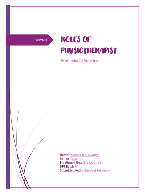 Professional Practice Assignment 1 Pdf Physical Therapy Strategic Planning