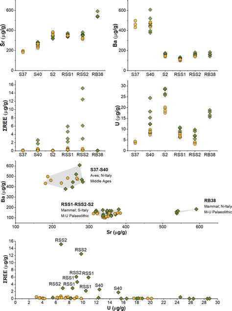Laicpms Spot Analyses Σree U Sr Ba On High ” Orange Circles