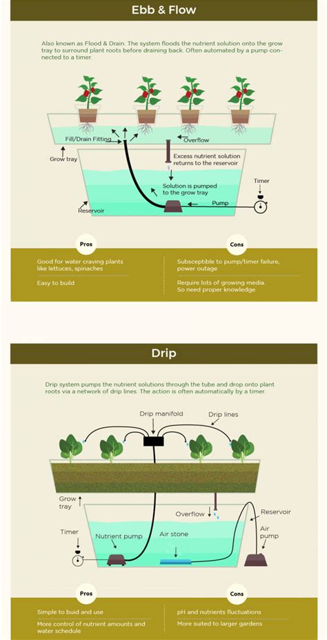 VISUAL GUIDE An Introduction To Hydroponics