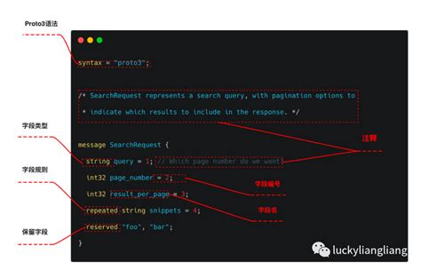 写给go开发者的grpc教程 protobuf基础 csdn博客