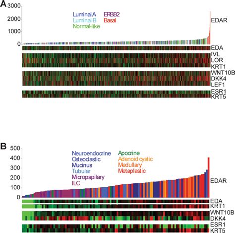 Edar Is Highly Expressed In Basal And Metaplastic Human Breast