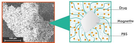 Micrograph Taken By A Scanning Electron Microscope On The Right