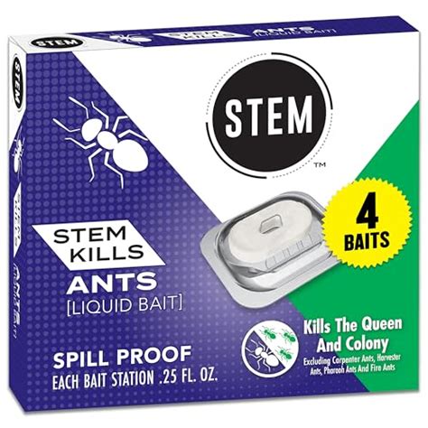 Top 10 Best Non Toxic Ant Traps Reviews And Buying Guide Katynel