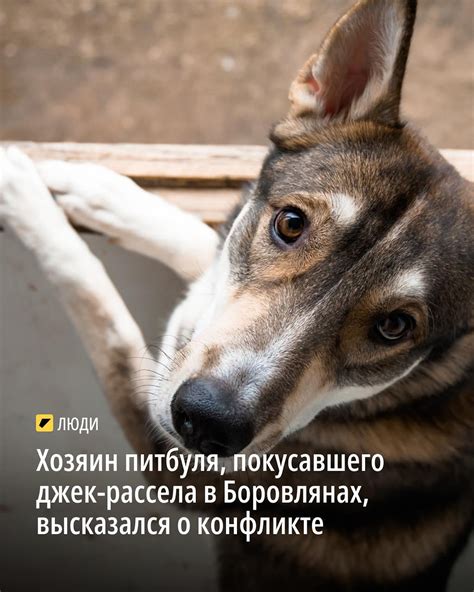 Онлайнер новости события Беларуси истории белорусов сми В