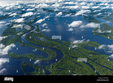 Amazon River Basin