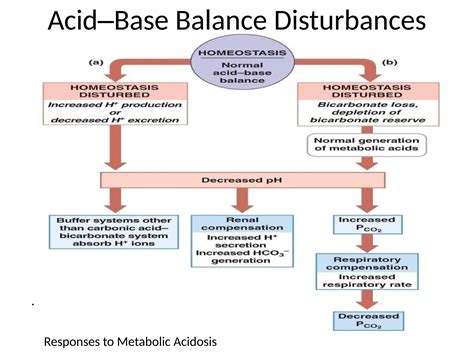Acid Base Balance And Ph Buffers Medicalpptx