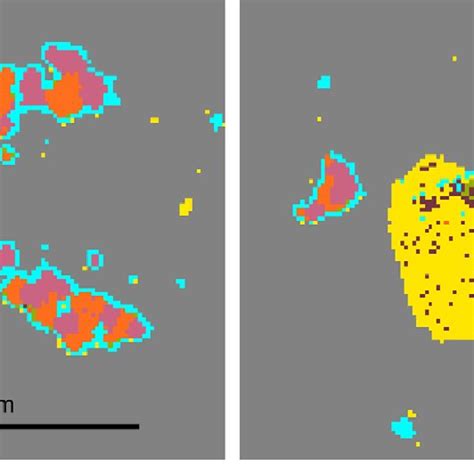 Examples Of The Different Phase Morphologies In The Surface Left