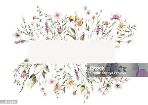 수채화 한여름 꽃 프레임 컬렉션 손으로 그린 섬세한 나뭇잎 꽃 로맨틱한 꽃꽂이는 결혼식 인사말 카드 초대장에 딱 맞습니다 0명에 대한 스톡 벡터 아트 및 기타 이미지