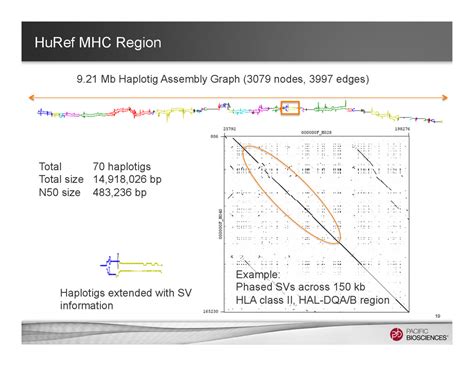 De Novo Diploid Genome Assembly And Haplotype Sequence Reconstruction