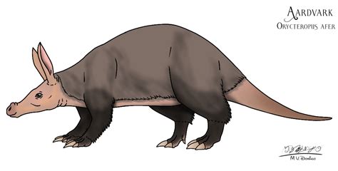 Aardvark By Ognimdo2002 On Deviantart