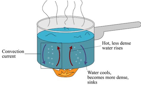 Free Convection Cliparts Title Download Free Convection Cliparts Title