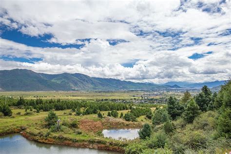 Rift Valley Fever What To Know About This Infectious Disease Health