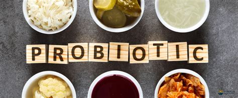 Benefits Of Probiotics For Oral Health Sunrise Dentistry