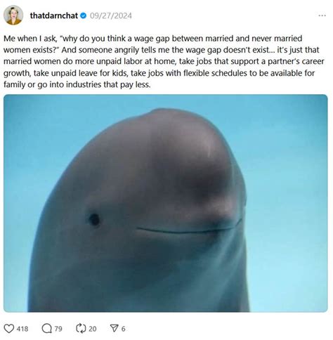 The Smiling Dolphin Meme Is Actually A Porpoise And Hes Tired