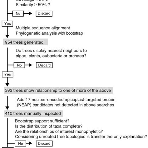 Phylogenomic Analysis Pipeline The Procedures Used To Analyze Assess