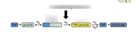 Structural Basis For The Beta Lactam Resistance Of Pbp2a From Emthicillin Resistant Staph Aureus