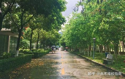 公办【广东理工职业学院】录取分数学校环境、宿舍介绍！ 知乎