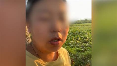 女子种南瓜频遭村民盗窃损失惨重，村干部称部分村民思想落后眼界澎湃新闻 The Paper