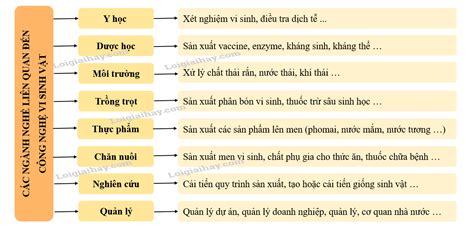 Khái Niệm Ngành Nghề Liên Quan Và Triển Vọng Của Công Nghệ Vi Sinh Vật