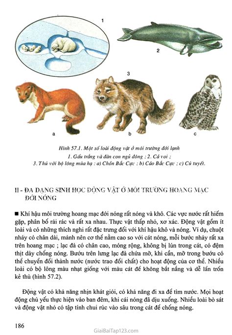 SGK Sinh Học 7 Bài 57 Đa dạng sinh học