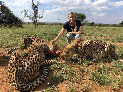 Best Ann Van Dyk Cheetah Centre View Rates And Prices