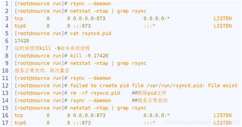 Bug：rsync关闭命令的报错问题及解决方法rsync命令无法停止 Csdn博客