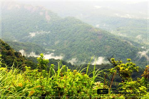 图片素材 喀拉拉 植被 山站 性质 绿色 山地地貌 天空 大气现象 自然保护 自然环境 爬坡道 高地 荒野 生物