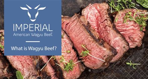 What Is American Wagyu Beef A Guide To Wagyu Beef Imperial Wagyu Beef